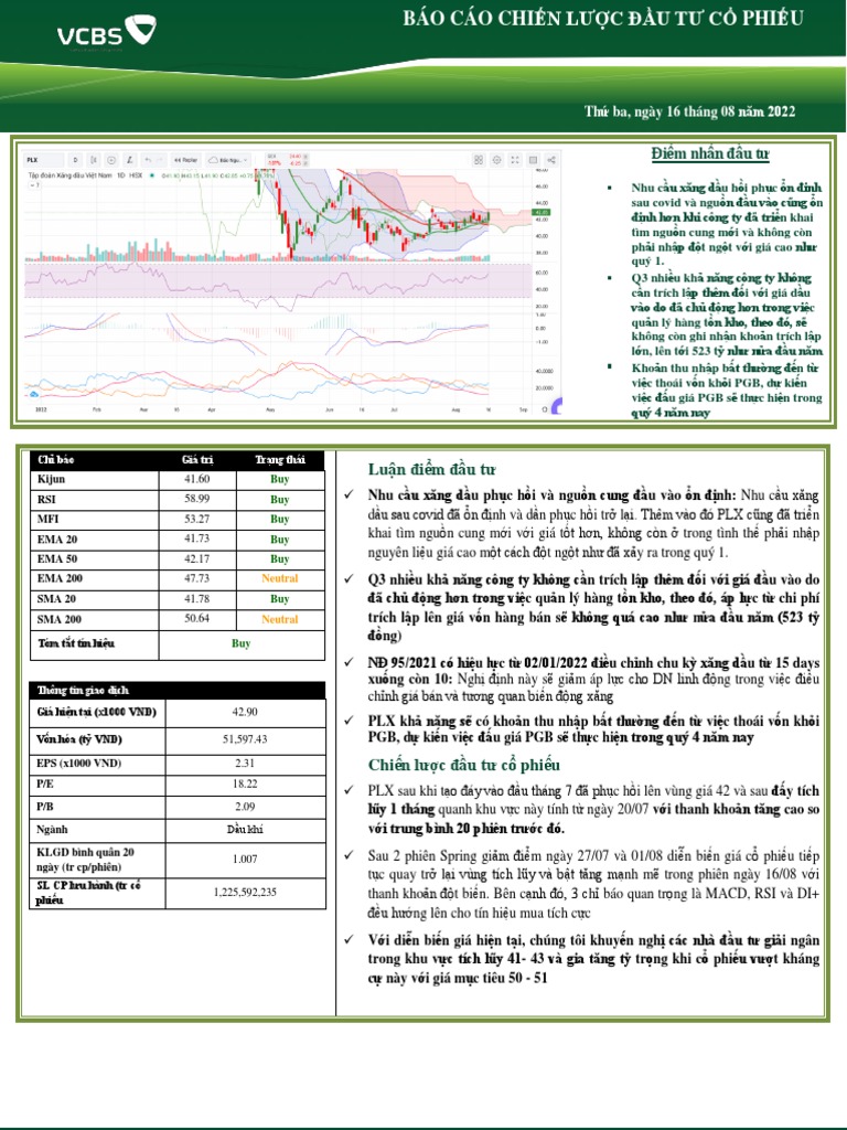 Báo Cáo PTKT PLX | PDF
