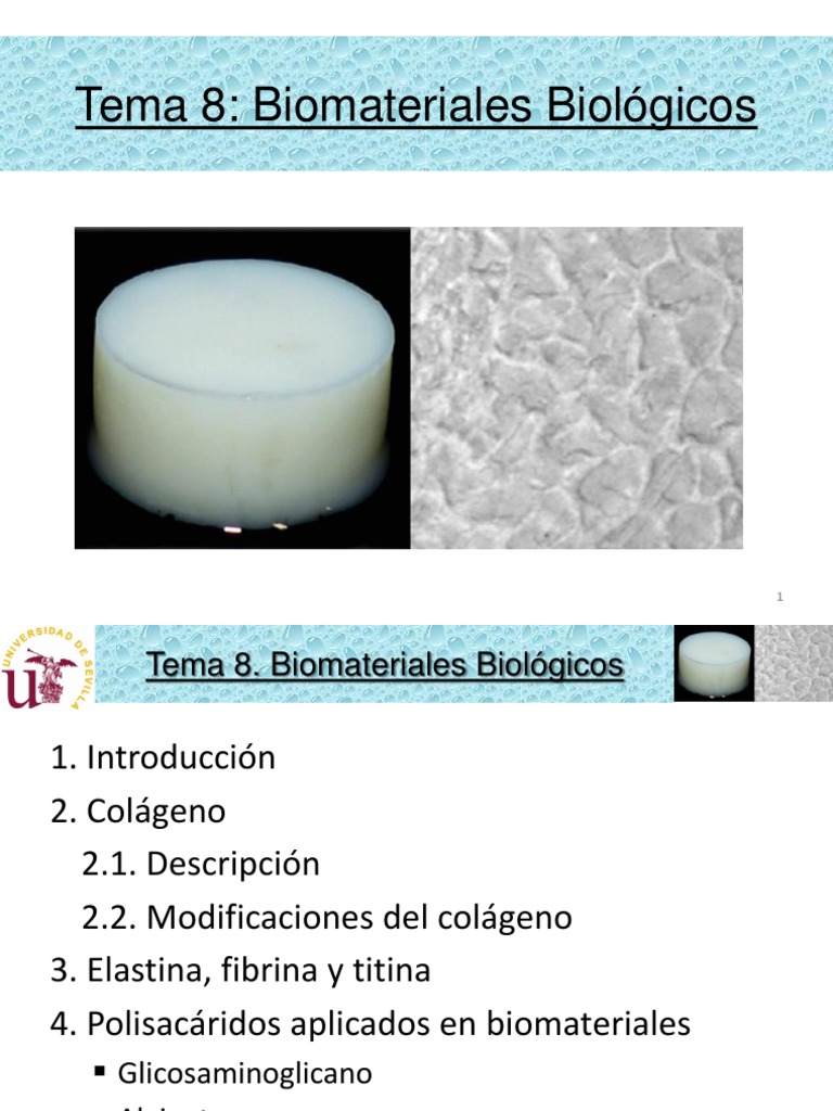 Tema 8. Biomateriales Biológicos | PDF | Colágeno | La matriz extracelular