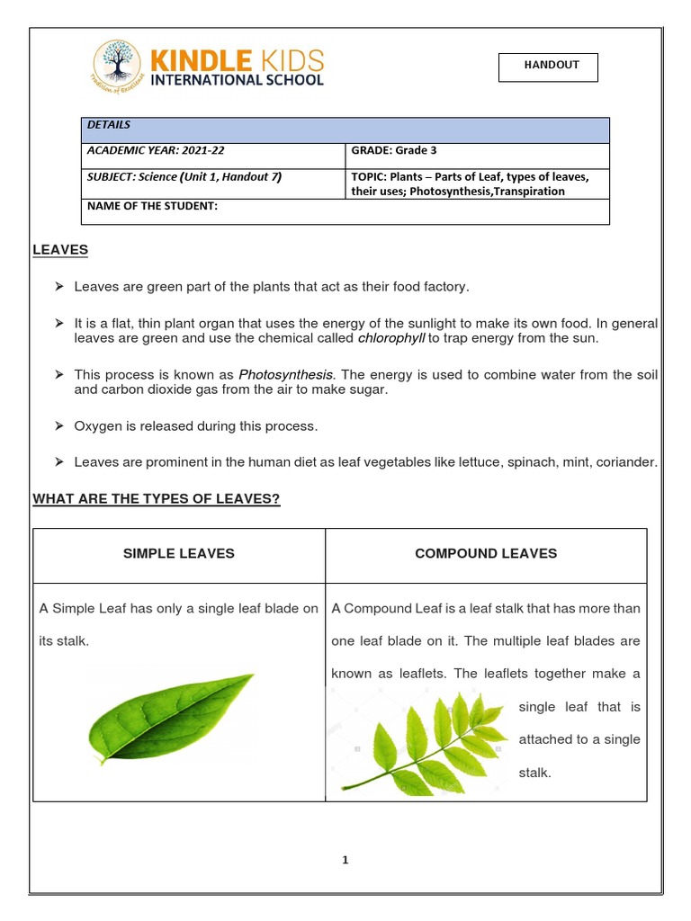 Grade 3 Science - Plant - Parts of Leaves Different Types of Leaves ...