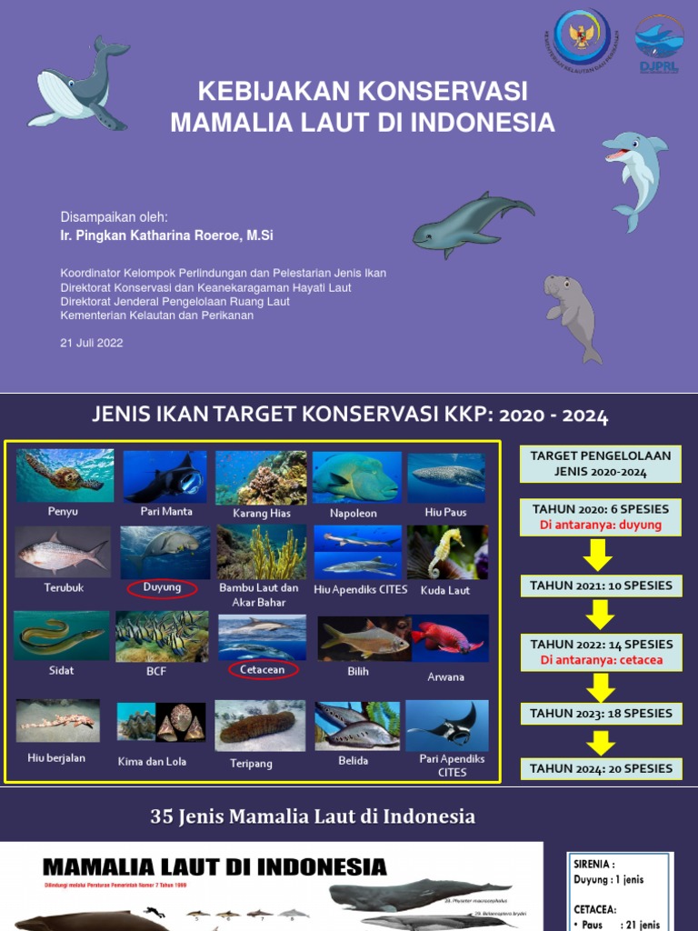 Dit - KKHL - Kebijakan Mamalia Laut | PDF