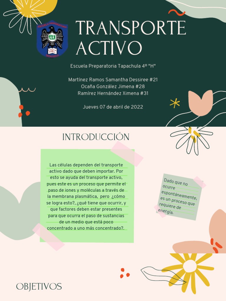 Transporte Activo Celular: Claves y Mecanismos | PDF | Biología de ...