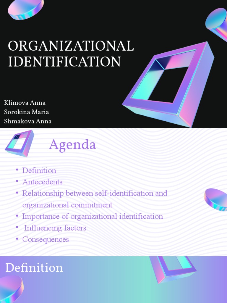 Organizational Identification | PDF