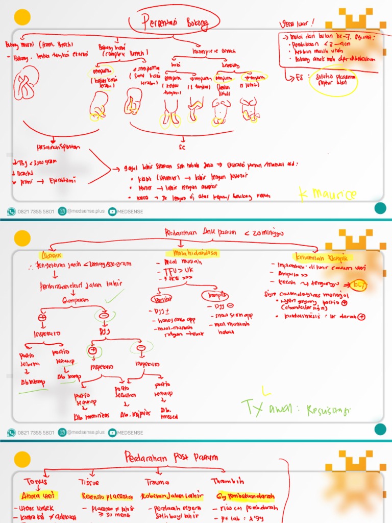Mind Map Pdf
