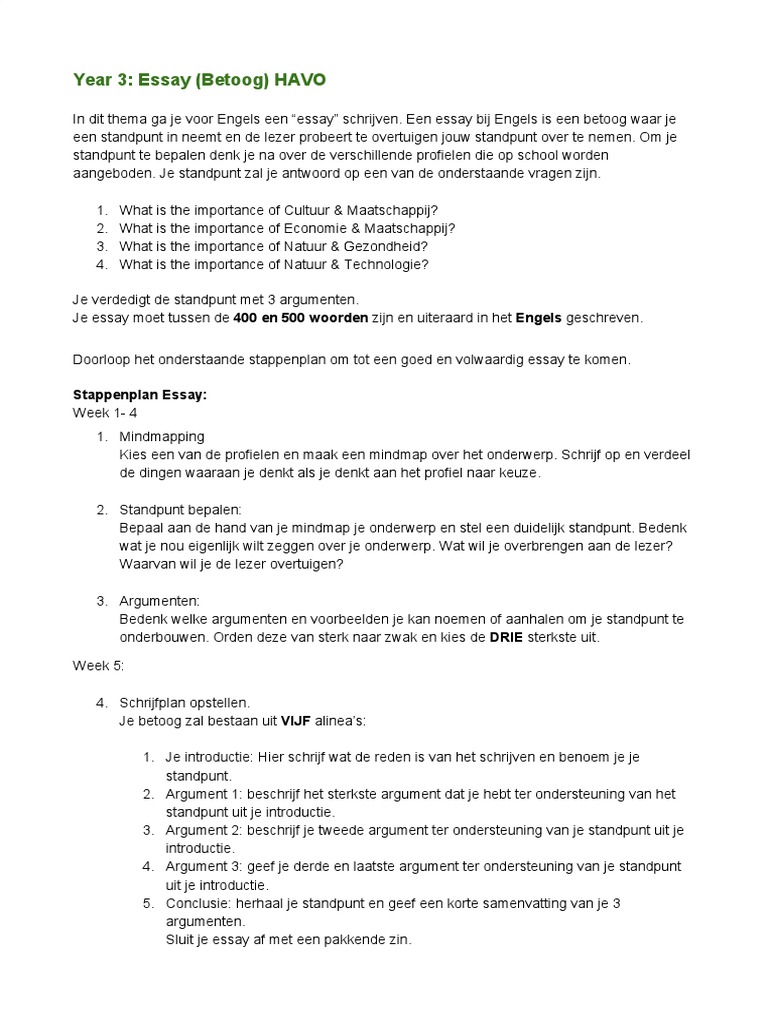 Eindopdracht Essay Thema 11 HAVO | PDF