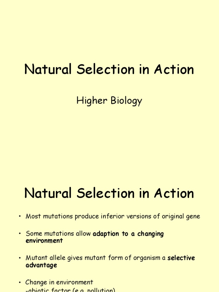 Natural Selection in Action: How Mutations in the Hemoglobin Gene Allow ...