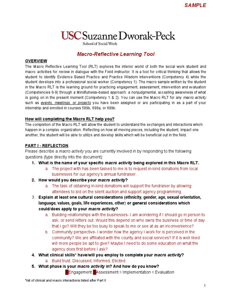 Field-students-Forms-Complete Macro Reflective Learning Tool Sample | PDF