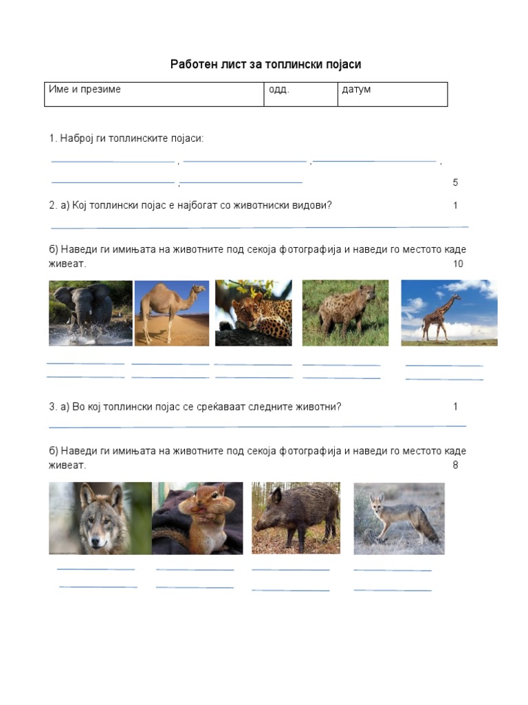 Raboten List Toplinski Pojasi | PDF