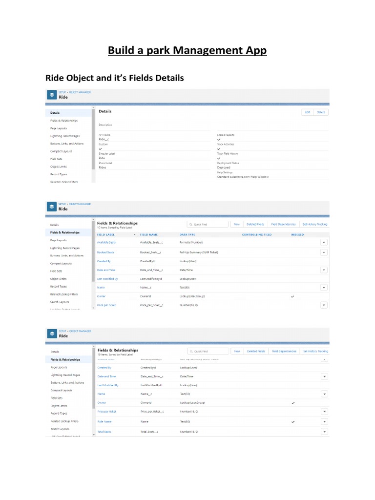 Build A Park Management App - Saleforce | PDF