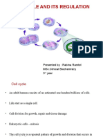 POGIL Activities For AP Biology - Cell Cycle and Regulation | PDF ...