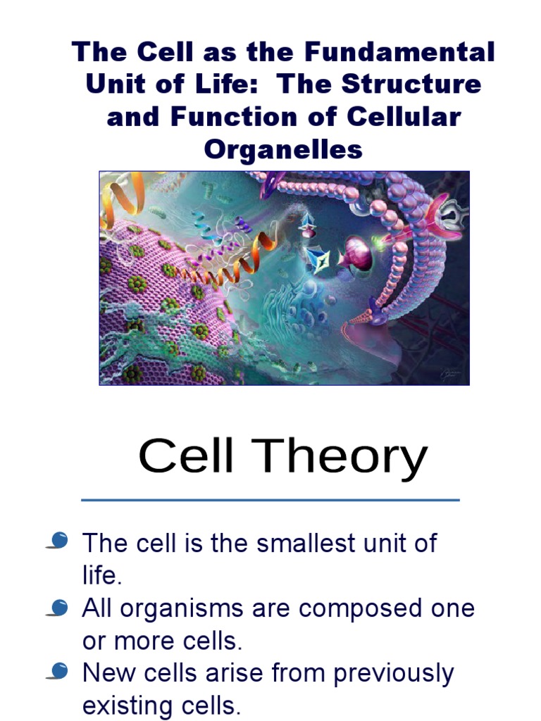 The Cell | PDF | Endoplasmic Reticulum | Cell (Biology)