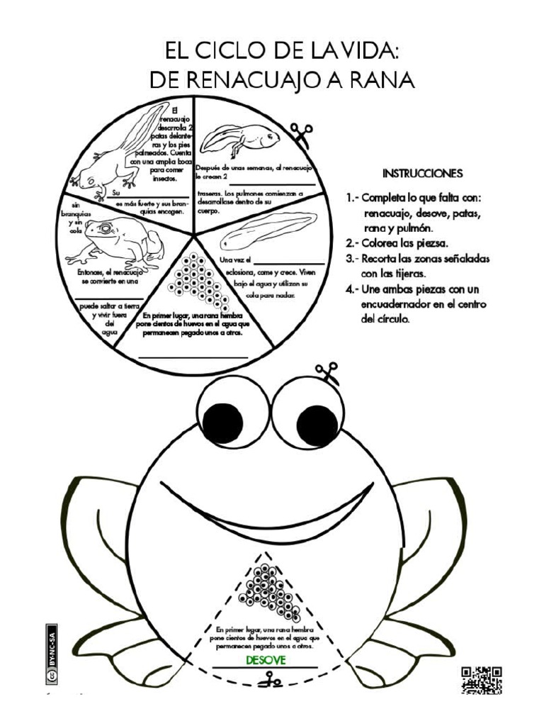 Ciclo de La Rana | PDF