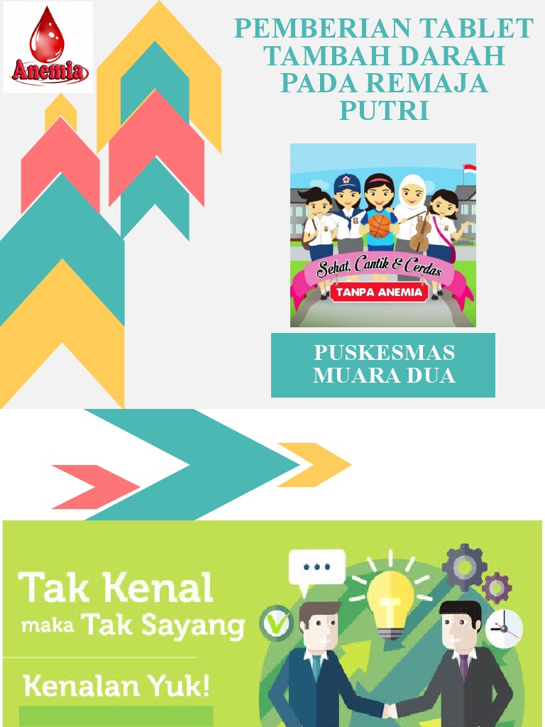 Pemberian TTD Pada Remaja Putri | PDF