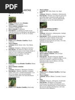 Plantas Medicinales de Tabasco | PDF | Albahaca | Hoja