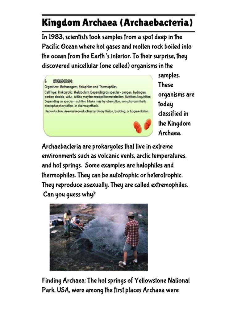 Kingdom Archaea Archaebacteria Pdf