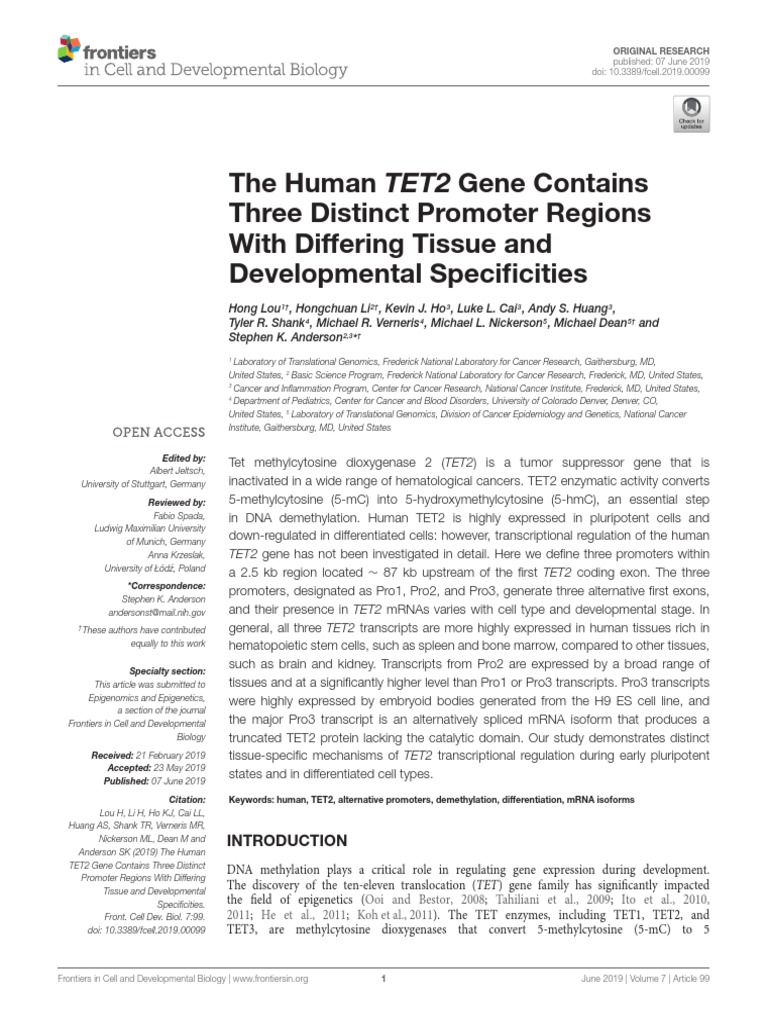 The Human TET2 Gene Contains Three Distinct Promoter Regions With ...
