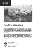 Medicine Chart For Chickens | PDF | Candidiasis | Medical Diagnosis