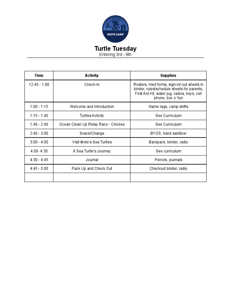 Sea Turtle Curriculum | PDF | Turtle | Sea Turtle