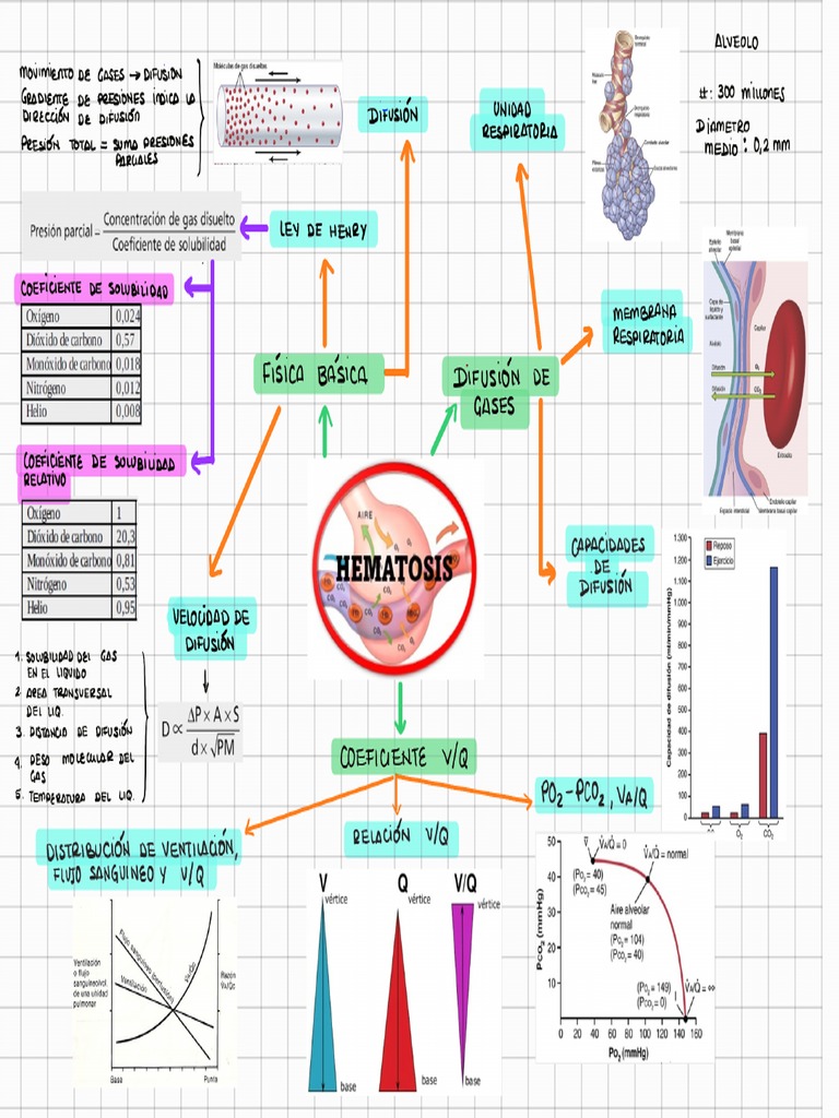 Hematosis Rotated | PDF