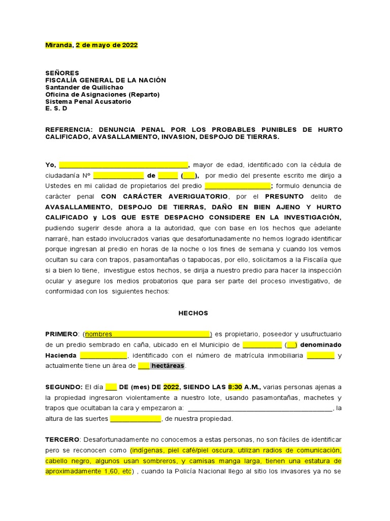 Denuncia Modelo 1 | PDF