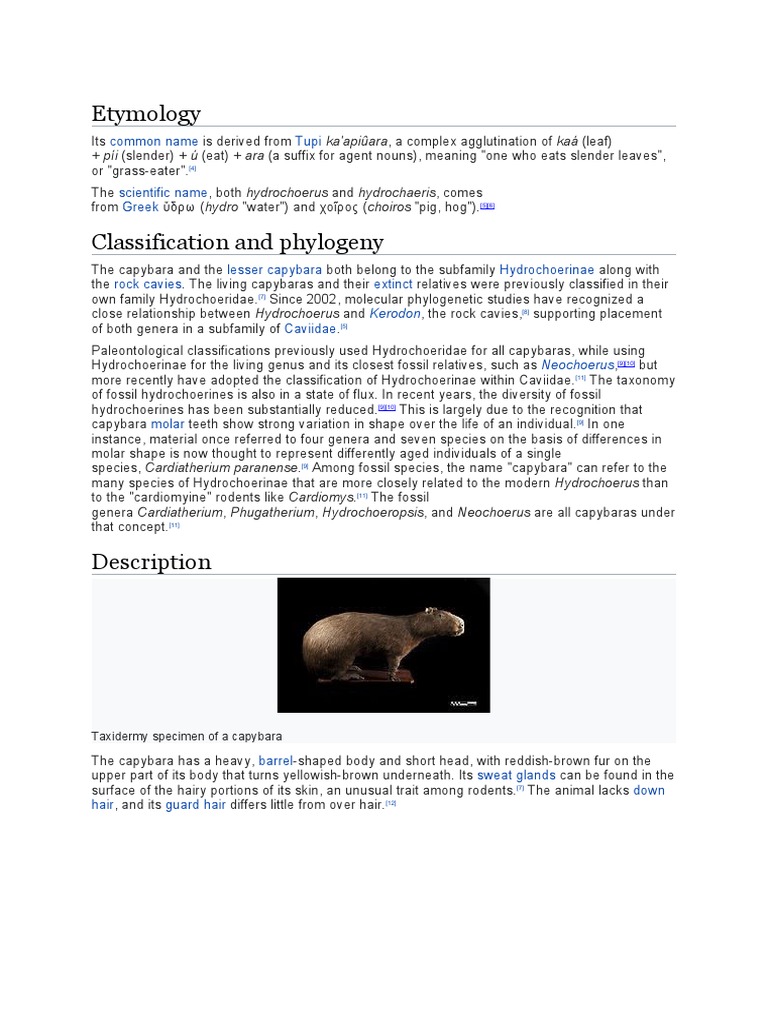 Capybara Schoolproject | PDF