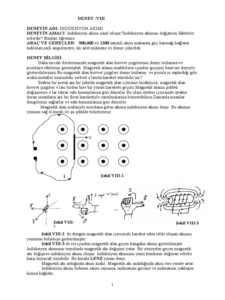 Deney 8 İndüksi̇yon Akimi | PDF