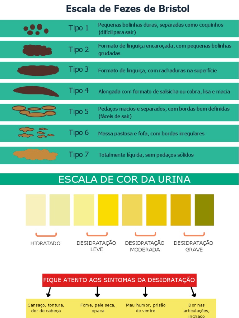 Lâminas Da Escala de Fezes e Urina | PDF