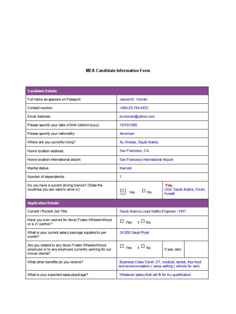 MEA Candidate Information Form | PDF