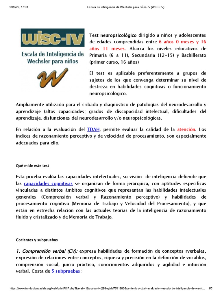 Escala de Inteligencia de Wechsler para niños-IV (WISC-IV) | PDF ...