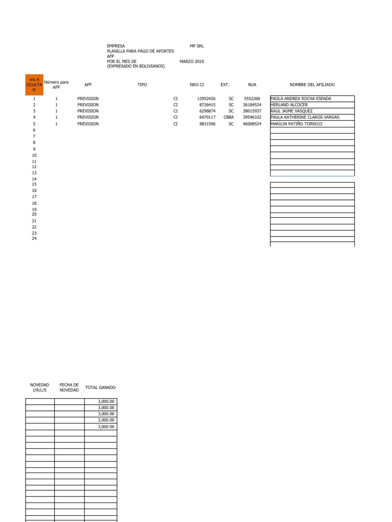 Formato Planilla Afp Modelo Excel Descargar Gratis Pdf Dinero
