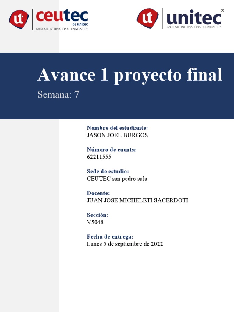 Avance 1 Proyecto Final | PDF