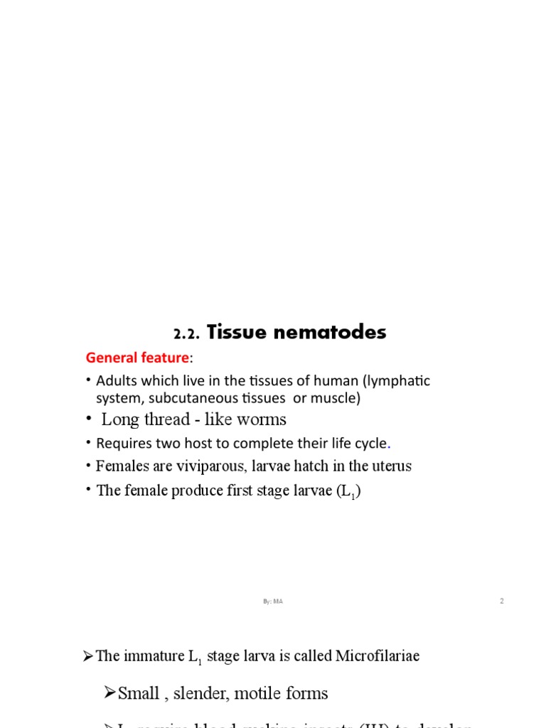 Tissue Nematodes | PDF | Medical Specialties | Microbiology