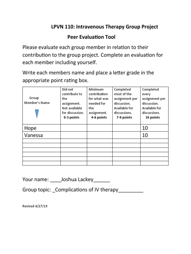 LPVN Group Project Peer Evaluation Tool | PDF
