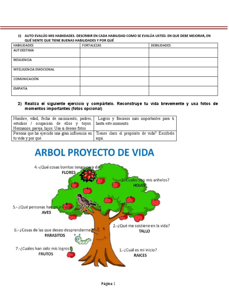 Proyecto de Vida Actividades Completas Con Ejemplos | PDF