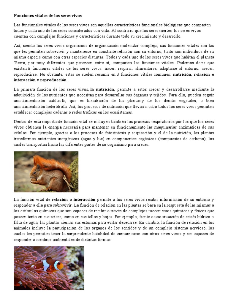 Funciones Vitales de Los Seres Vivos | PDF | Organismos | Reproducción