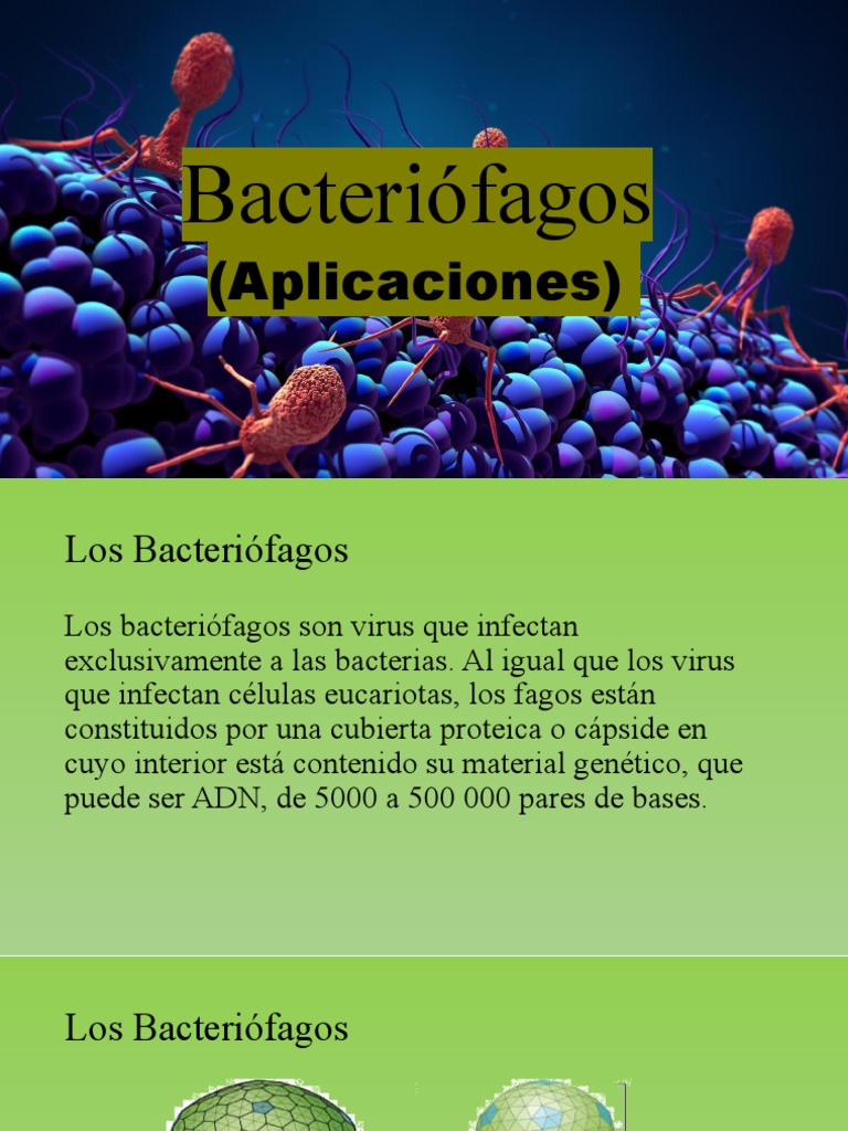 Presentacion BACTERIOFAGOS | PDF | Bacteriófago | Clasificación biológica