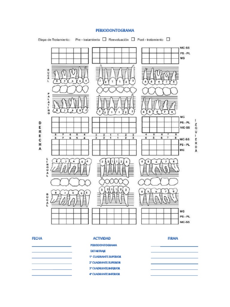 Ficha Periodontal | PDF
