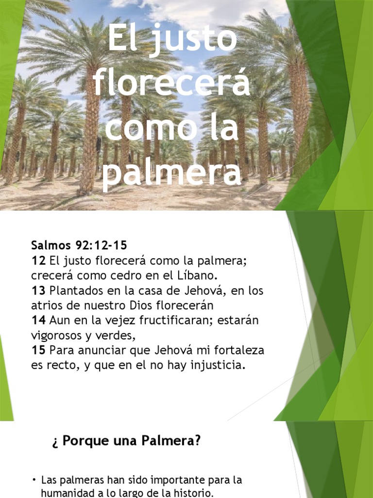El Justo Florecera Como La Palmera | PDF | Salmos