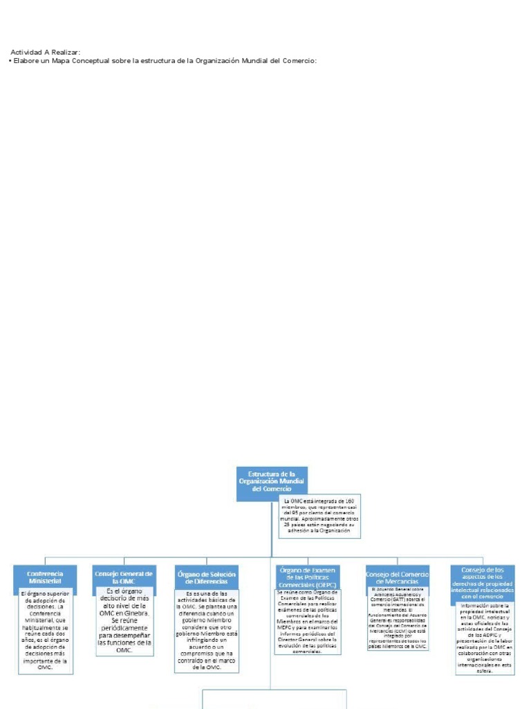Mapa Conceptual OMC Estructura | PDF