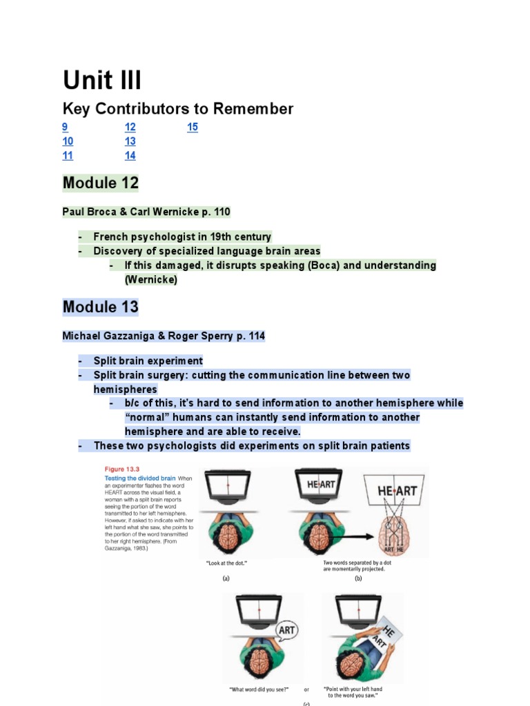 AP Psychology Unit 3 Test Study Guide | PDF | Nervous System | Neuron