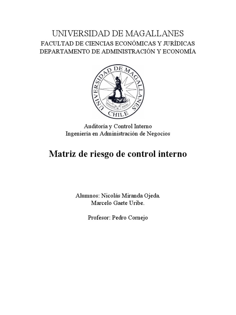 Matriz de Riesgo de Control Interno | PDF | Riesgo | Matriz (Matemáticas)