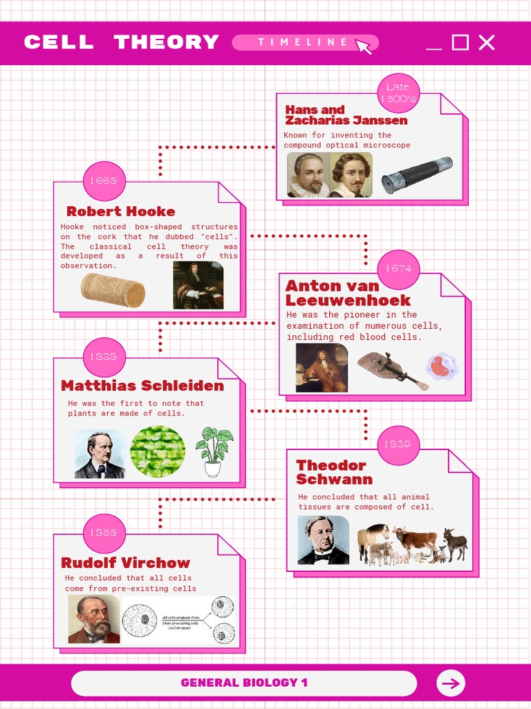 Cell Theory Historical Timeline Activity | Download Free PDF | Microscopy | Life Sciences