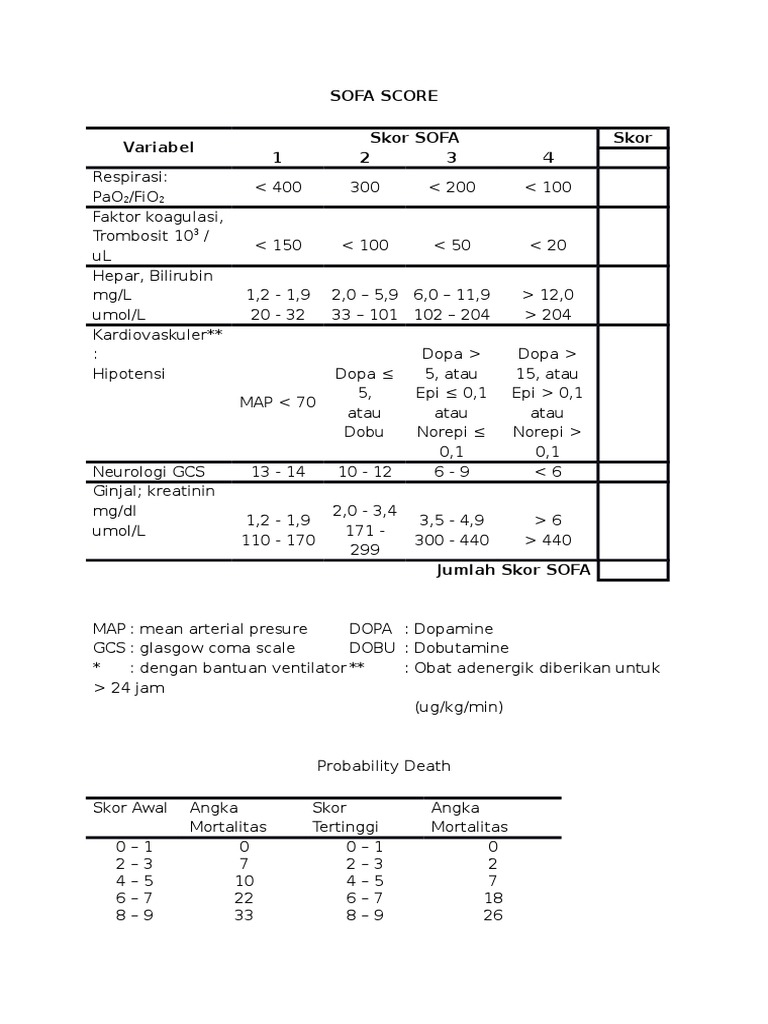 Sofa Score | PDF