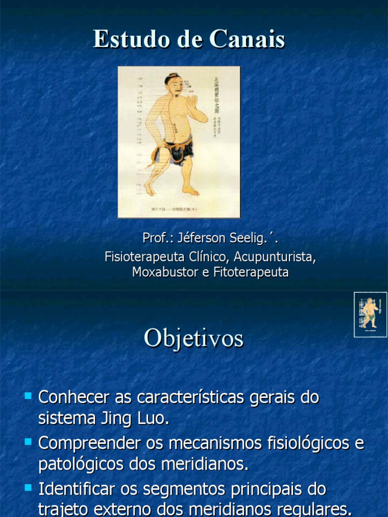 O Sistema Jing Luo | PDF | Meridiano (acupuntura) | Anatomia