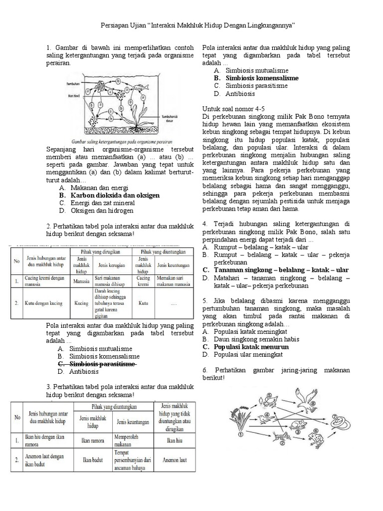 Kunci Latihan Soal Ekosistem Kelas 7 SMP | PDF | Sains & Matematika | Teknologi & Rekayasa