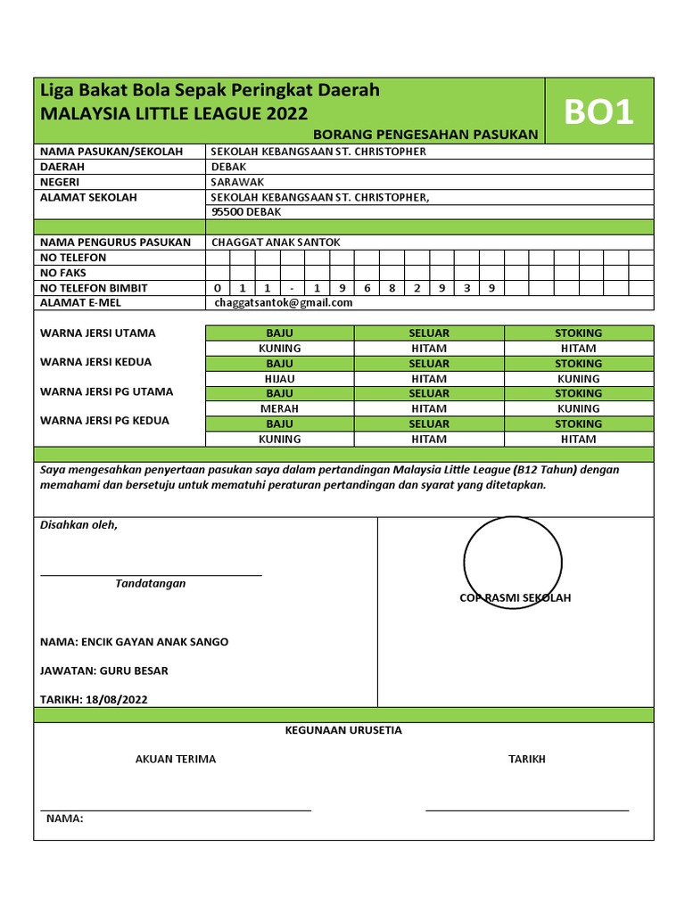 B01 Borang Pengesahan Pasukan | PDF