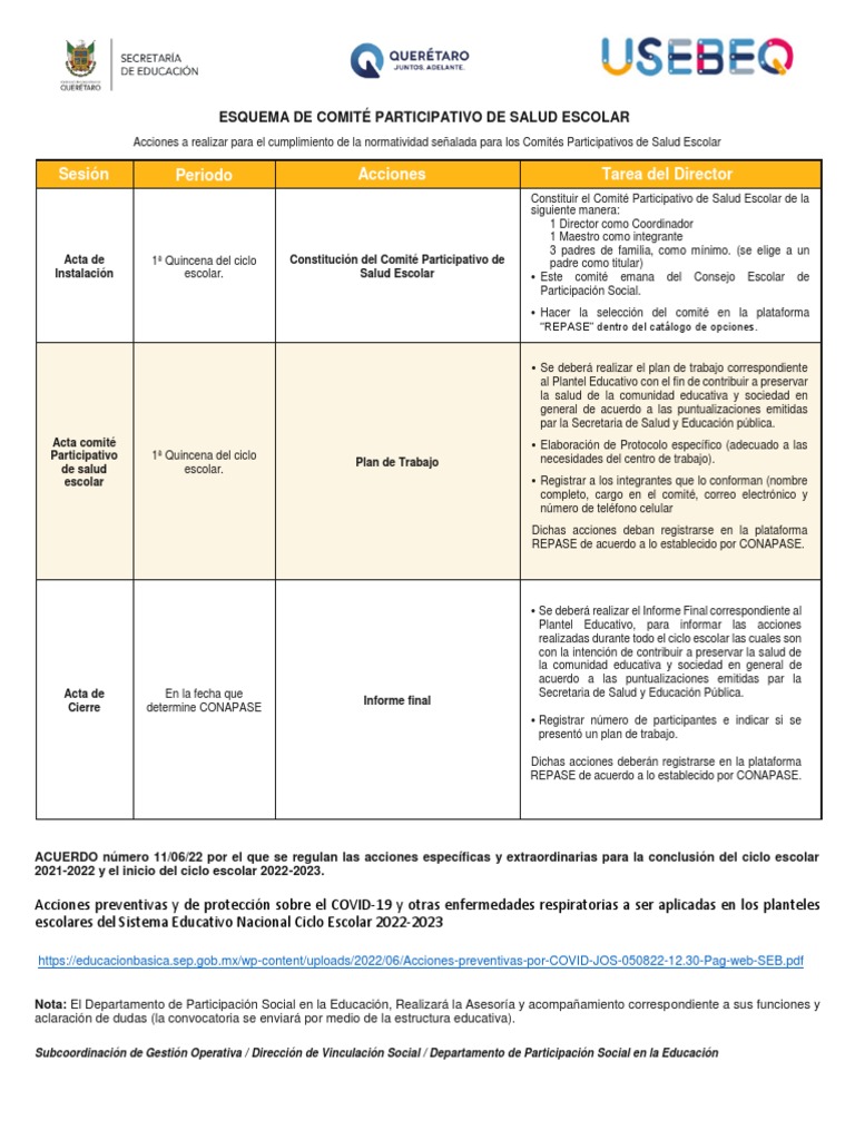 Esquema Comite Participativo de Salud Escolar | PDF