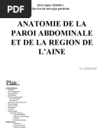 Anatomie de l'Aine et Canal Inguinal | PDF | Péritoine | Vaisseau sanguin