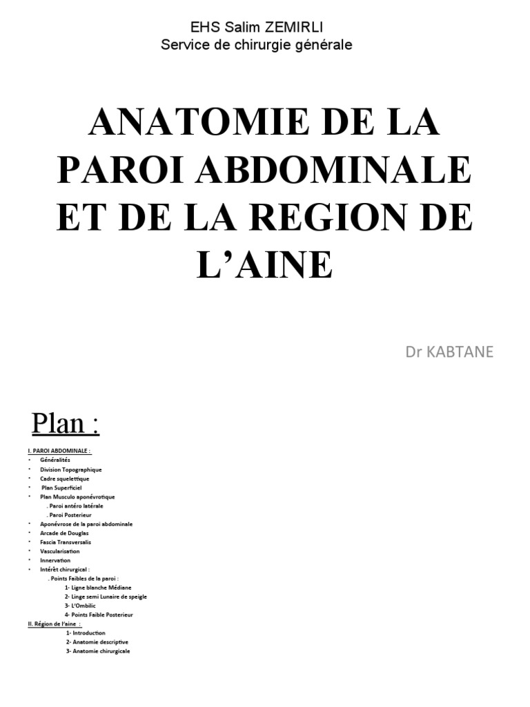 Anatomie de la Paroi Abdominale et de l'Aine | PDF | Péritoine | Abdomen