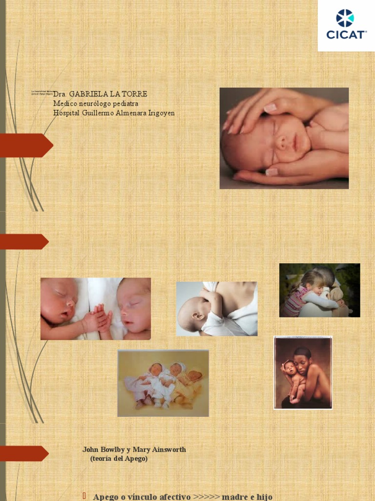 Sensibilidad y Apego | PDF | Teoría de apego | Sicología