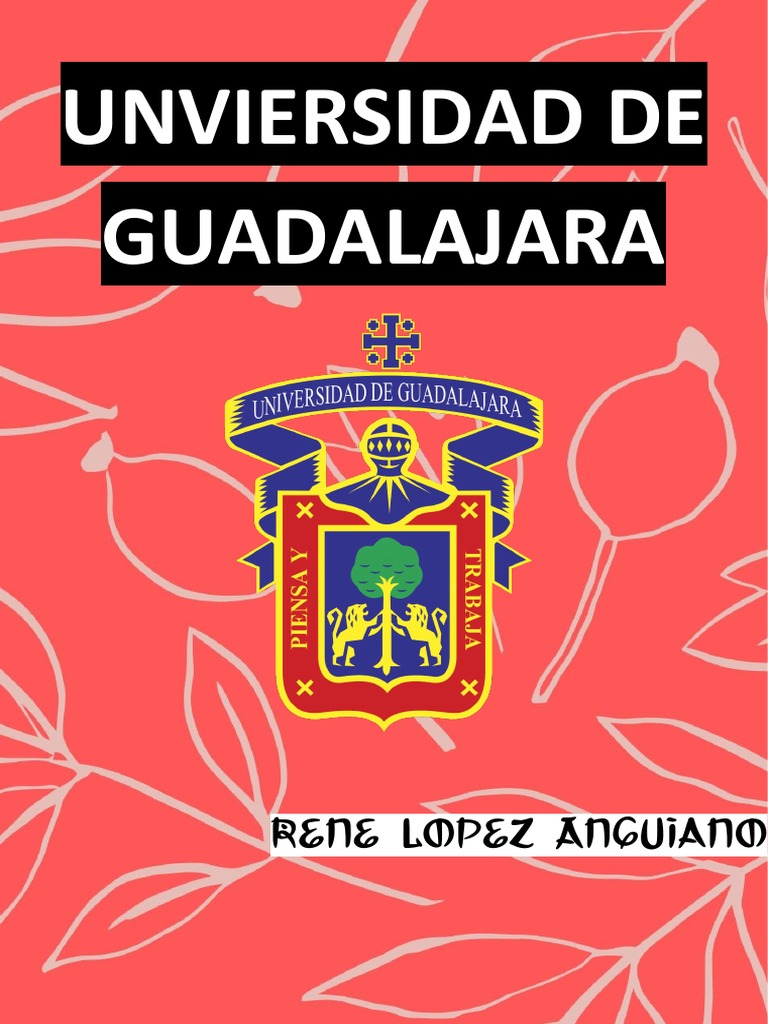 U5A1 - López Anguiano - René | PDF | Auditoría | Presupuesto